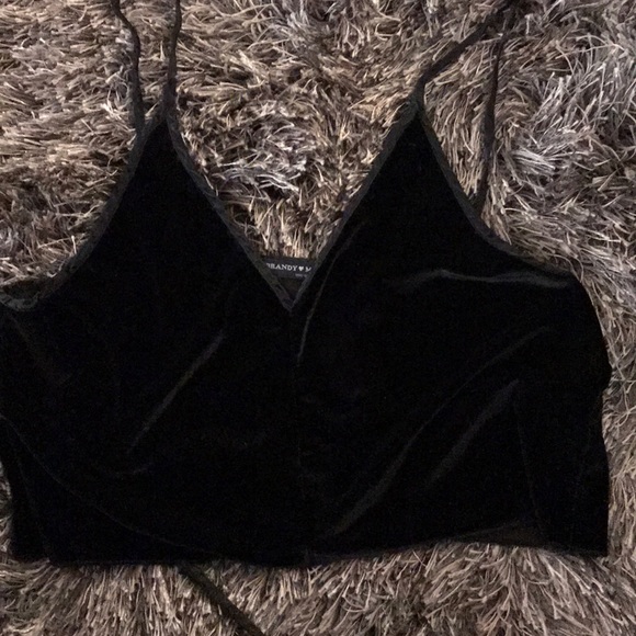 Brandy Melville | Tops | Silk Brandy Crop Top Cropped More | Poshmark